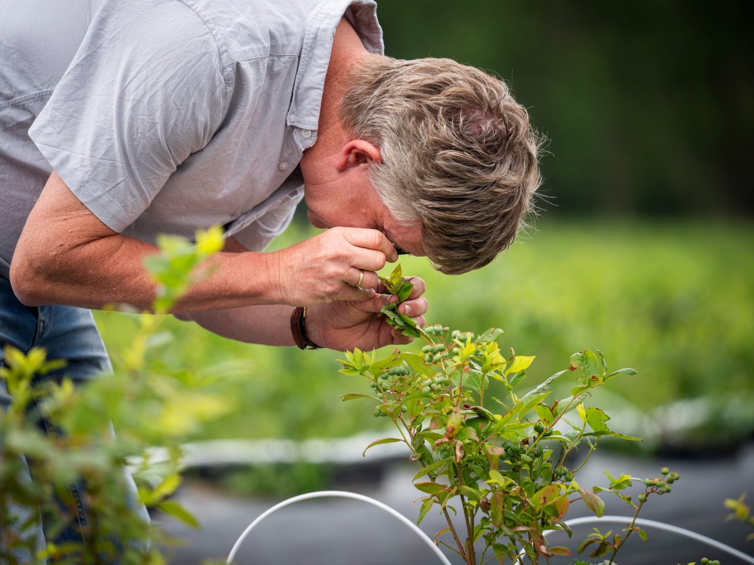 Compas Agro - Goed advies doet groeien!