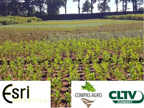 Compas Agro - Goed advies doet groeien!