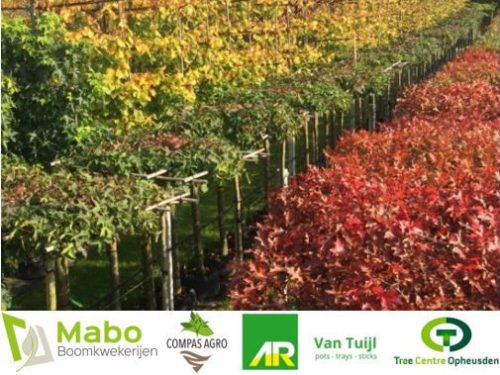 Compas Agro - Goed advies doet groeien!