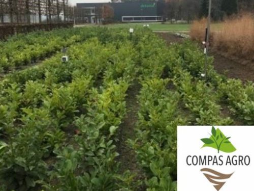 Compas Agro - Goed advies doet groeien!