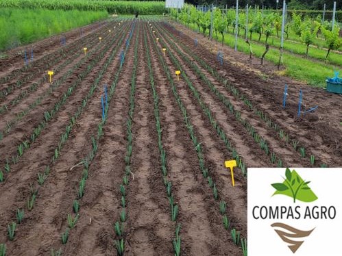 Compas Agro - Goed advies doet groeien!