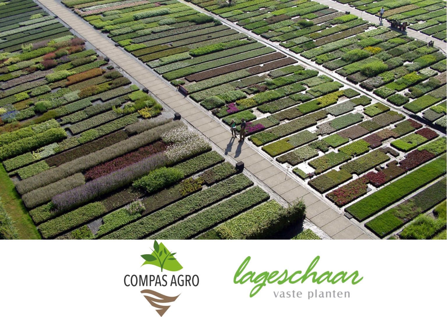 Compas Agro - Goed advies doet groeien!
