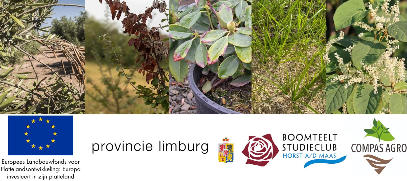 Compas Agro - Goed advies doet groeien!