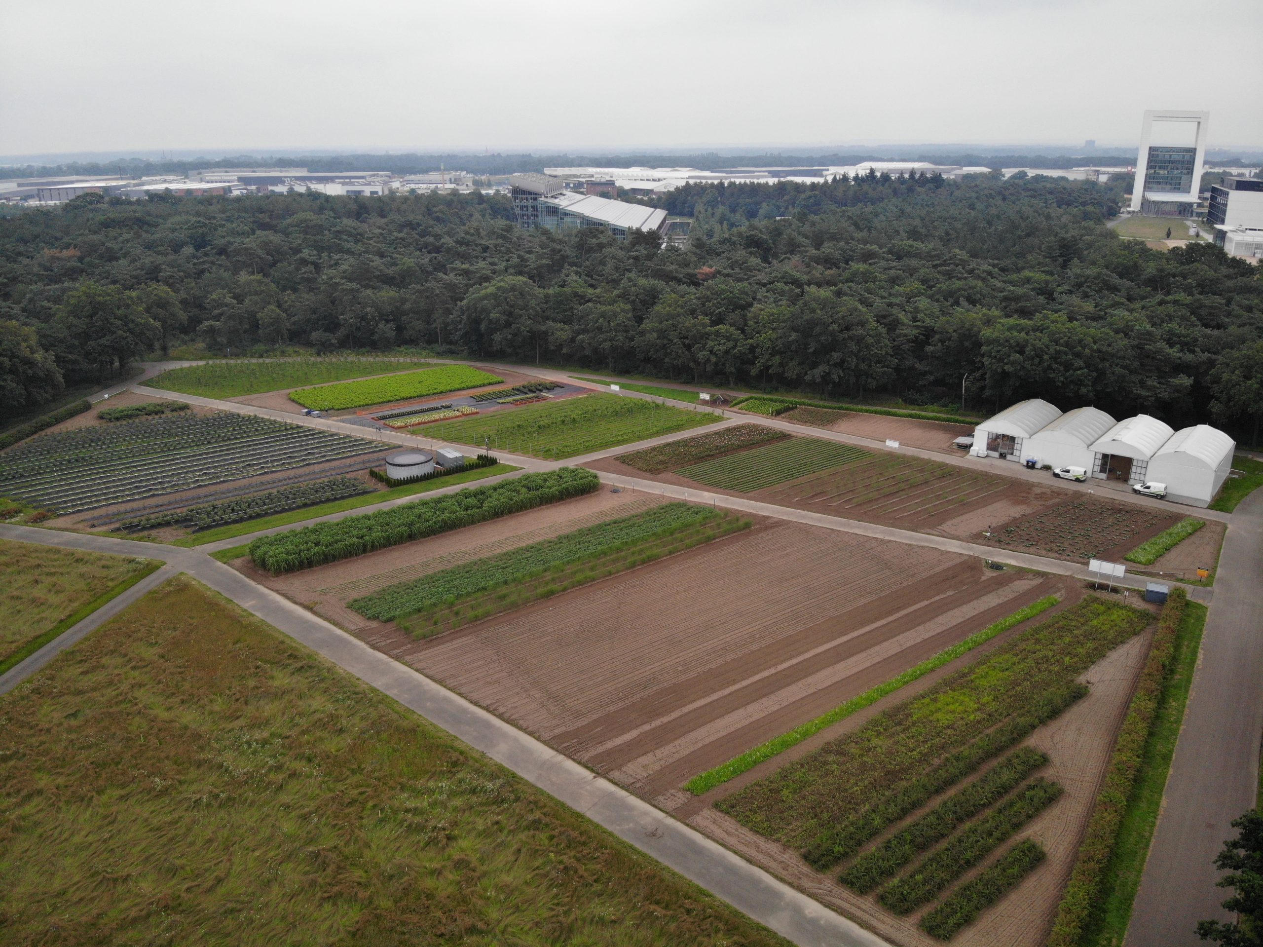 Compas Agro - Goed advies doet groeien!